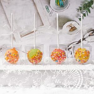 Jutieuo 100 Pack Single Cake Pop Box With Hole for Stick and Ribbons 1.9x1.9x2 Inches, Clear Plastic Lollipop Candy Treat Boxes Individual Cake Pop Display Packaging Boxes