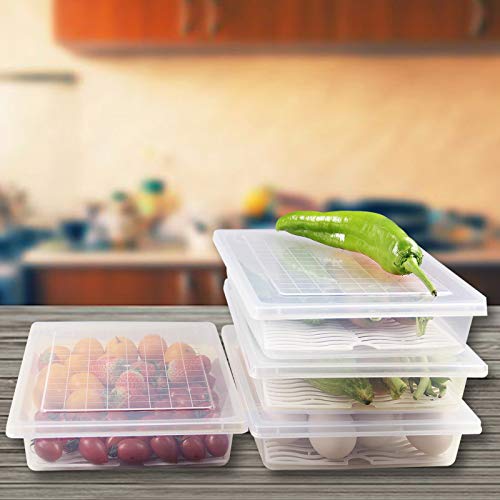 Yiautao Food Storage Container, Plastic Food Containers with Removable Drain Plate and Lid, Stackable Portable Freezer Storage Containers - Tray to Keep Fruits, Vegetables, Meat and More (4,Large)