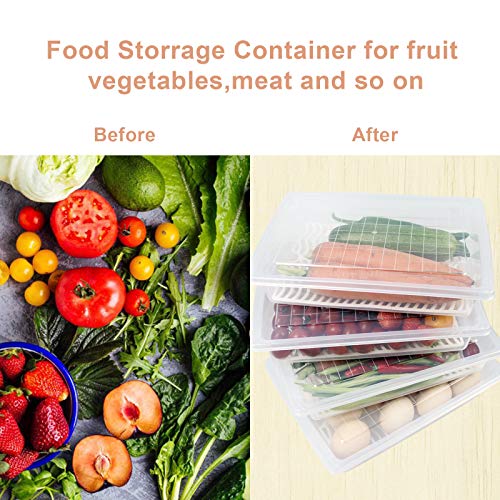 Yiautao Food Storage Container, Plastic Food Containers with Removable Drain Plate and Lid, Stackable Portable Freezer Storage Containers - Tray to Keep Fruits, Vegetables, Meat and More (4,Large)