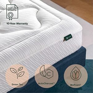 ZINUS 10 Inch Cloud Memory Foam Mattress / Pressure Relieving / Bed-in-a-Box / CertiPUR-US Certified, Twin