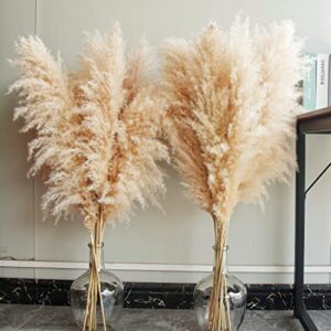 bannifll 40″ inch 10 stems natural pampas grass decor tall, pompas grass, tall pampas grass for wedding, party, farmhouse, boho home decor