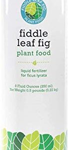 Fiddle Leaf Fig Tree Plant Food for Ficus Lyrata (and Ficus Audrey) – Calcium Fortified, Urea-Free and with NPK Ratio of 3-1-2 for Healthy Roots, Stems and Leaves (8 Ounces))