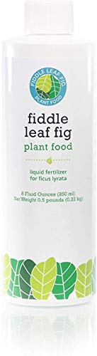 Fiddle Leaf Fig Tree Plant Food for Ficus Lyrata (and Ficus Audrey) – Calcium Fortified, Urea-Free and with NPK Ratio of 3-1-2 for Healthy Roots, Stems and Leaves (8 Ounces))