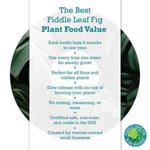 Fiddle Leaf Fig Tree Plant Food for Ficus Lyrata (and Ficus Audrey) – Calcium Fortified, Urea-Free and with NPK Ratio of 3-1-2 for Healthy Roots, Stems and Leaves (8 Ounces))