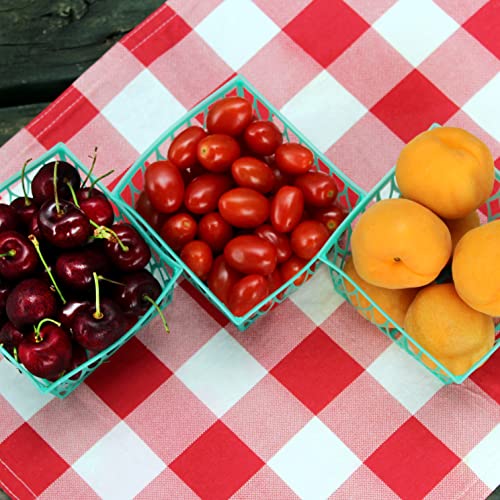 Cornucopia Pint Size Plastic Berry Baskets (48-Pack), 4-Inch Berry Boxes with Open-Weave Pattern, Ideal for Summer Picking & Crafts! (48 Boxes)