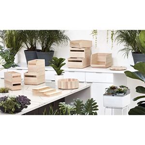 iDesign Renewable Paulownia Wood Collection Tall Turntable Organizer, 10.5" x 4" x 10.5", Natural