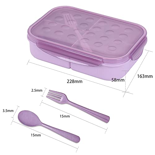 ASYH Bento Box, Classic 3 Compartment Lunch Box for Adults, Ideal Leakproof Lunch Containers with Utensils, Microwave and Dishwasher Safe Food Containers (Purple-1150ML)