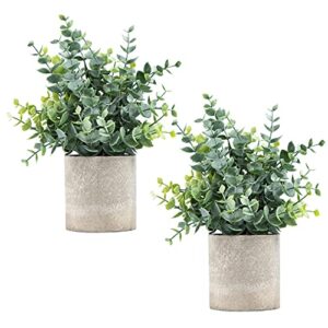 coferset 2 pack small fake plants eucalyptus potted artificial plants for shelf desk home bathroom farmhouse room decor (eucalyptus, 2)