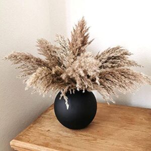 huminbo pampas-grass pompous dried pampass plants fluffy pompas grasses 30 stems small pompus short