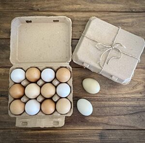 vintage blank egg cartons- classic 3×4 style holds 12 large eggs, sturdy design made from recycled cardboard (25)