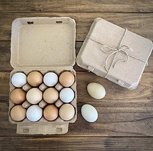 Vintage Blank Egg Cartons- Classic 3x4 Style Holds 12 Large Eggs, Sturdy Design Made from Recycled Cardboard (25)