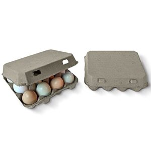 Vintage Blank Egg Cartons- Classic 3x4 Style Holds 12 Large Eggs, Sturdy Design Made from Recycled Cardboard (25)