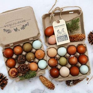 Vintage Blank Egg Cartons- Classic 3x4 Style Holds 12 Large Eggs, Sturdy Design Made from Recycled Cardboard (25)