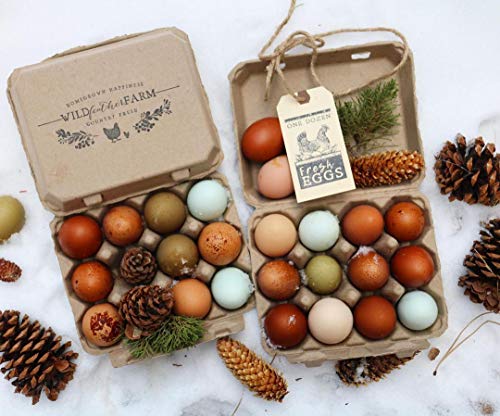 Vintage Blank Egg Cartons- Classic 3x4 Style Holds 12 Large Eggs, Sturdy Design Made from Recycled Cardboard (25)