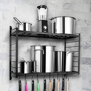 bestvida sparkworks 2-tiered wall mounted pot rack