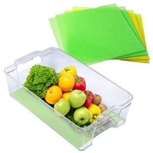 Dualplex® Fruit & Veggie Life Extender Liner for Fridge Refrigerator Drawers, 12 x 15 Inches, 4 Pack Includes 2 Yellow 2 Green – Extends The Life of Your Produce Stays Fresh & Prevents Spoilage