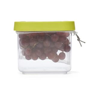 Chef'n Fresh fruit and veggie storage container with bag, size small, Avocado