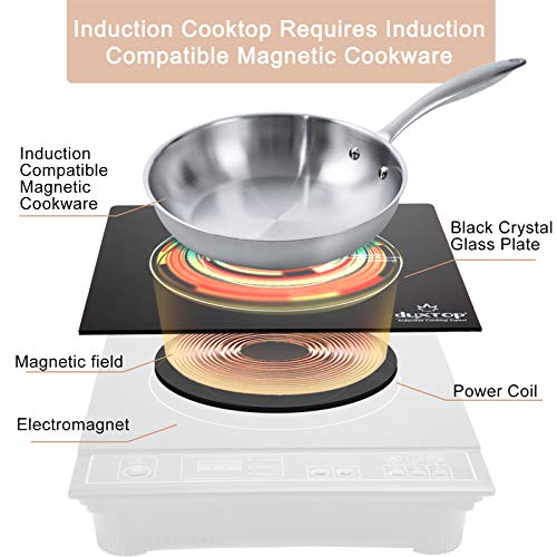 Duxtop 1800W Portable Induction Cooktop Countertop Burner, Gold 8100MC/BT-180G3