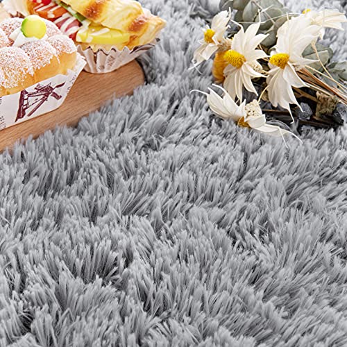 Noahas Ultra Soft Fluffy Bedroom Rugs Kids Room Carpet Modern Shaggy Area Rugs Home Decor 2.6' X 5.3', Grey