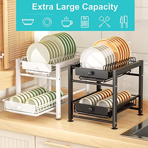 2 Tier Dish Drying Rack for Kitchen Counter, LUNASEA Dish Rack with Drainboard, Black Dish Drainer Set with Anti-Slip Suction Cups, Large Capacity Dish Strainers for Kitchen Countertop Saving Space