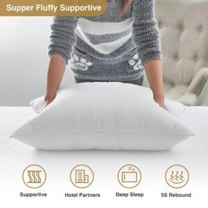 Acanva Bed Pillows for Sleeping, Cooling Hotel Quality with Premium Soft 3D Down Alternative Fill for Back, Stomach or Side Sleepers, Queen (Pack of 4), White 4 Count