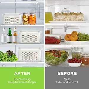 TBMax Fruit Storage Containers for Fridge - 3 Pack Large Produce Saver Containers Fridge Organizers with Airtight Lid & Colander, Vegetable Storage Lettuce Keepers Berry Containers for Refrigerator