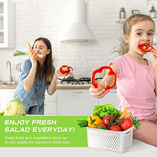 TBMax Fruit Storage Containers for Fridge - 3 Pack Large Produce Saver Containers Fridge Organizers with Airtight Lid & Colander, Vegetable Storage Lettuce Keepers Berry Containers for Refrigerator