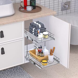 Lekind 2 Tier Pull Out Cabinet Organizer, Sliding Out Drawer Storage Shelf for Bathroom Kitchen, 12.0Wx16.5Dx16.7H-Inch