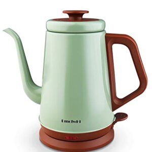 DmofwHi Gooseneck Electric Kettle(1.0L), 100% Stainless Steel BPA Free Classic Pour Over Coffee Kettle | Tea Kettle - Green