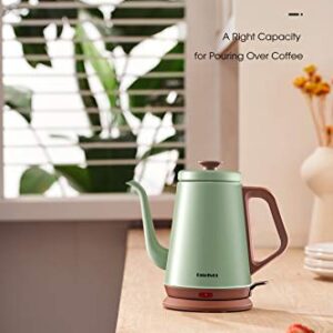 DmofwHi Gooseneck Electric Kettle(1.0L), 100% Stainless Steel BPA Free Classic Pour Over Coffee Kettle | Tea Kettle - Green