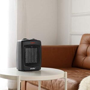 andily Space Heater Electric Heater for Home and Office Ceramic Small Heater with Thermostat, 750W/1500W