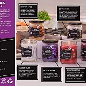 Vanilla Bean Odor Eliminating Highly Fragranced Candle - Eliminates 95% of Pet, Smoke, Food, and Other Smells Quickly - Up to 80 Hour Burn time - 12 Ounce Premium Soy Blend