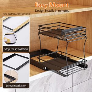 Pull Out Snack Cupboard Organizers with Two Tier Sliding Small Spice Rack for Inside Cabinet,Under Kitchen Bathroom Sink Drawer Organization Baskets and Storage Fits Spices, Sauces, Cans (10"x8"x8")