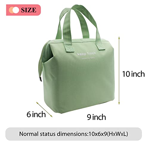 Mziart Insulated Lunch Bag Simple Bento Cooler Bag Lunch Tote Bag for Lunch Box for Women Men Adult Picnic Working Hiking Beach (Light Green)