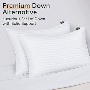 Fern and Willow Pillows for Sleeping - Set of 2 Queen Size Down Alternative Pillow Set w/ Luxury Plush Cooling Gel for Side, Back & Stomach Sleepers