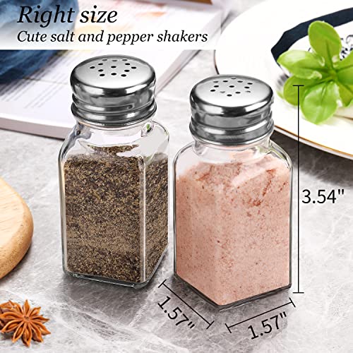 Salt and Pepper Shakers Glass Set ,DWTS DANWEITESI Salt Shaker w Stainless Steel Lid-Glass Spice Jars,Clear to Know When to Fill,Farmhouse Salt and Pepper Shakers Cute Best Kitchen Decoration