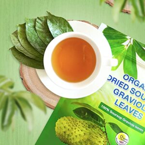 NalLife ORGANIC Soursop Graviola Leaves for Tea 200 Leaves