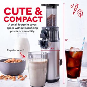 DASH Deluxe Compact Masticating Slow Juicer, Easy to Clean Cold Press Juicer with Brush, Pulp Measuring Cup, Frozen Attachment and Juice Recipe Guide - Graphite