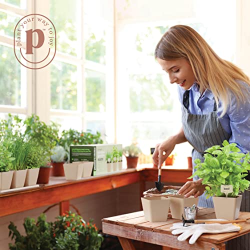 Window Herb Garden - Indoor 9 Herb Starter Kit - Unique Gardening Gifts for Women & Men, Mom, Her - Kitchen Windowsill Growing Kit - Grow 9 Plants - Best Unusual Birthday Christmas Gift for Cooking