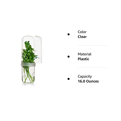 The Herb Angel Mason Jar Herb Lid - Fresh Herb Keeper - Herb Saver Pod for Cilantro, Parsley, Basil, Chives, Mint and More - Herb Storage Container for Refrigerator