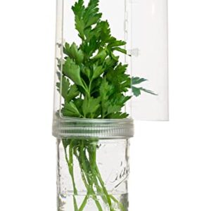 The Herb Angel Mason Jar Herb Lid - Fresh Herb Keeper - Herb Saver Pod for Cilantro, Parsley, Basil, Chives, Mint and More - Herb Storage Container for Refrigerator