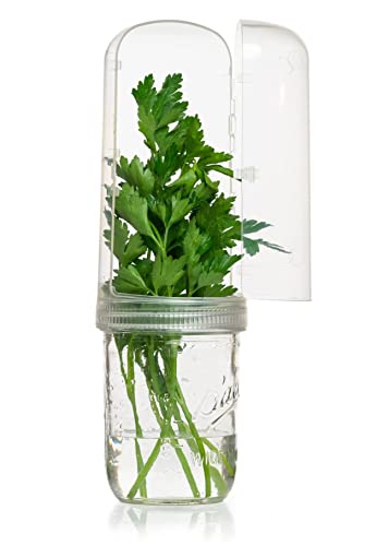 The Herb Angel Mason Jar Herb Lid - Fresh Herb Keeper - Herb Saver Pod for Cilantro, Parsley, Basil, Chives, Mint and More - Herb Storage Container for Refrigerator