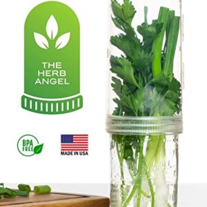 The Herb Angel Mason Jar Herb Lid - Fresh Herb Keeper - Herb Saver Pod for Cilantro, Parsley, Basil, Chives, Mint and More - Herb Storage Container for Refrigerator