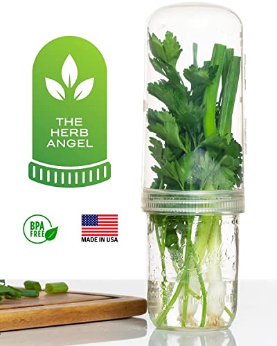 The Herb Angel Mason Jar Herb Lid - Fresh Herb Keeper - Herb Saver Pod for Cilantro, Parsley, Basil, Chives, Mint and More - Herb Storage Container for Refrigerator