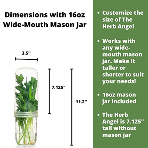 The Herb Angel Mason Jar Herb Lid - Fresh Herb Keeper - Herb Saver Pod for Cilantro, Parsley, Basil, Chives, Mint and More - Herb Storage Container for Refrigerator