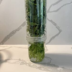 The Herb Angel Mason Jar Herb Lid - Fresh Herb Keeper - Herb Saver Pod for Cilantro, Parsley, Basil, Chives, Mint and More - Herb Storage Container for Refrigerator