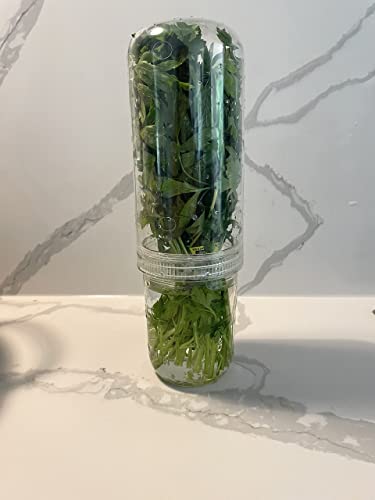 The Herb Angel Mason Jar Herb Lid - Fresh Herb Keeper - Herb Saver Pod for Cilantro, Parsley, Basil, Chives, Mint and More - Herb Storage Container for Refrigerator