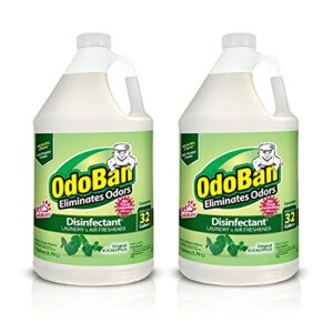 odoban disinfectant concentrate and odor eliminator, 2 gallons, original eucalyptus scent