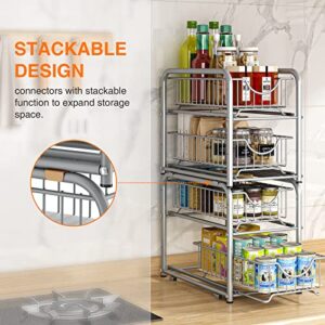 LEGUANG Under Sink Organizers and Storage, 2 Tier Sliding Basket Under Sink Cabinet Organizer, Kitchen Under Bathroom Storage Organizer, Silver