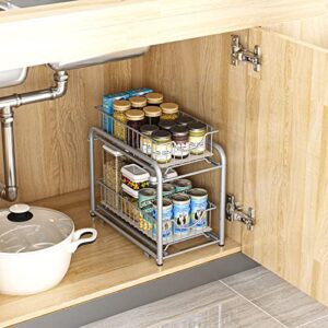 LEGUANG Under Sink Organizers and Storage, 2 Tier Sliding Basket Under Sink Cabinet Organizer, Kitchen Under Bathroom Storage Organizer, Silver